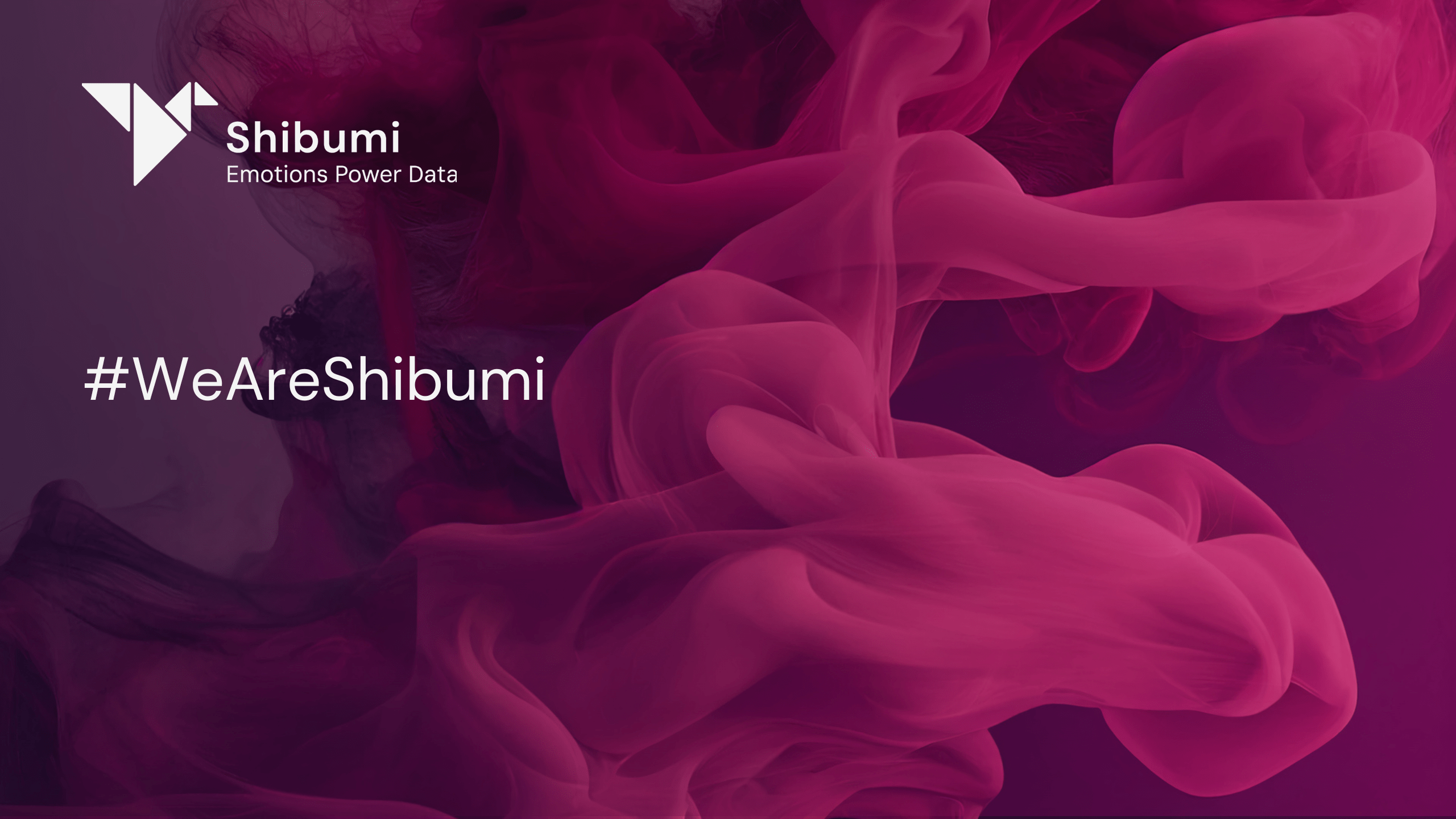Shibumi Group - Persone, Dati, Tecnologia, Emozioni