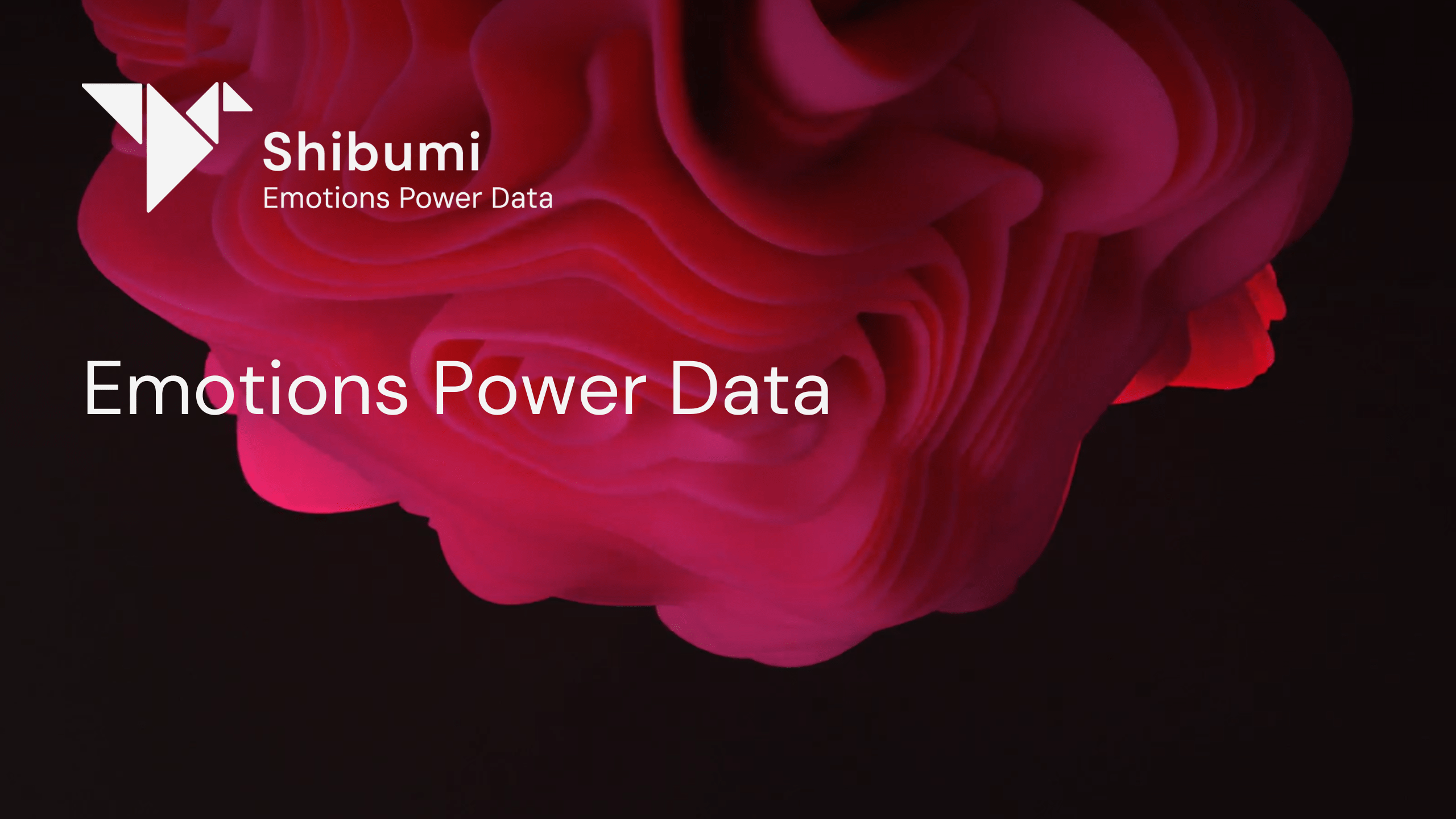 Shibumi Party - Shibumi Group - The emotional conversion group